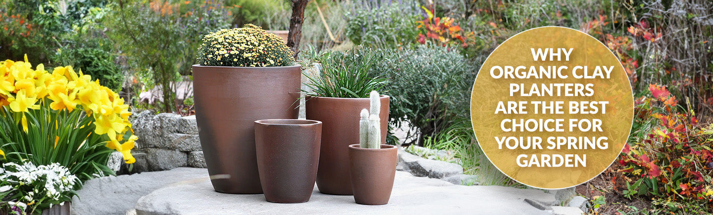 Why Organic Clay Planters Are Perfect for Your Spring Garden – PLANTATOREM