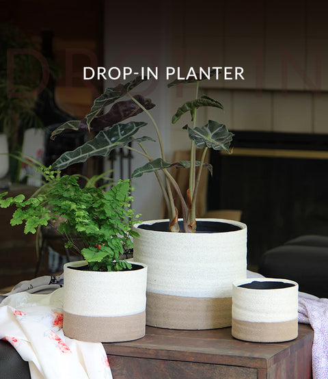 Shop Drop-In Planters – Stylish Indoor Pots – PLANTATOREM