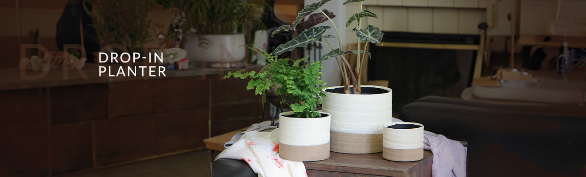 Shop Drop-In Planters – Stylish Indoor Pots – PLANTATOREM