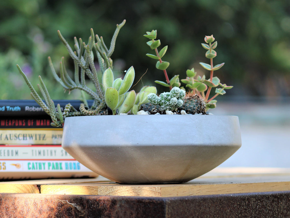 Buy Geometry Low Sphere Shaped Planter | Modern Pot for Home & Garden ...