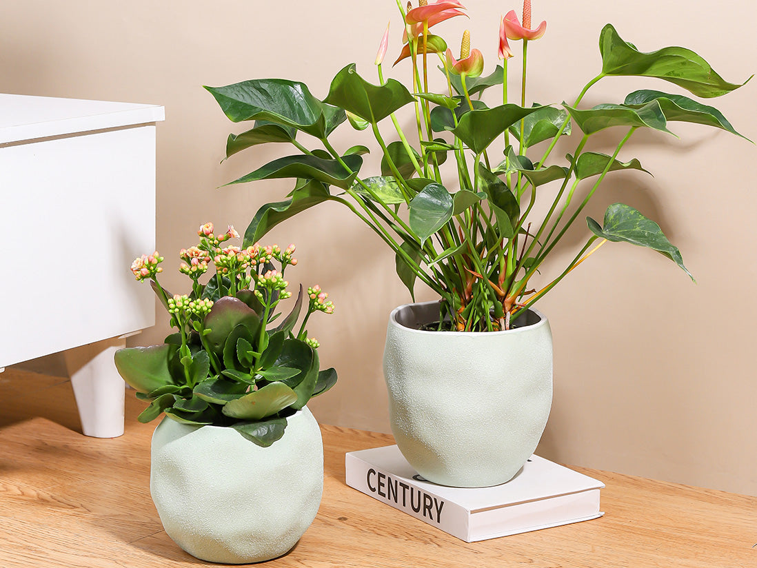 Hand Formed Grower Pot – PLANTATOREM