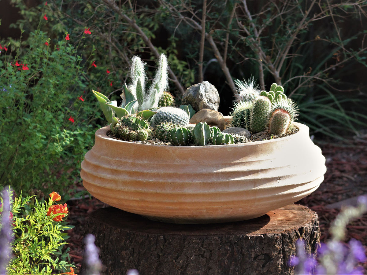 Buy Piatela Planter | Handmade Terracotta Flat Planter – PLANTATOREM