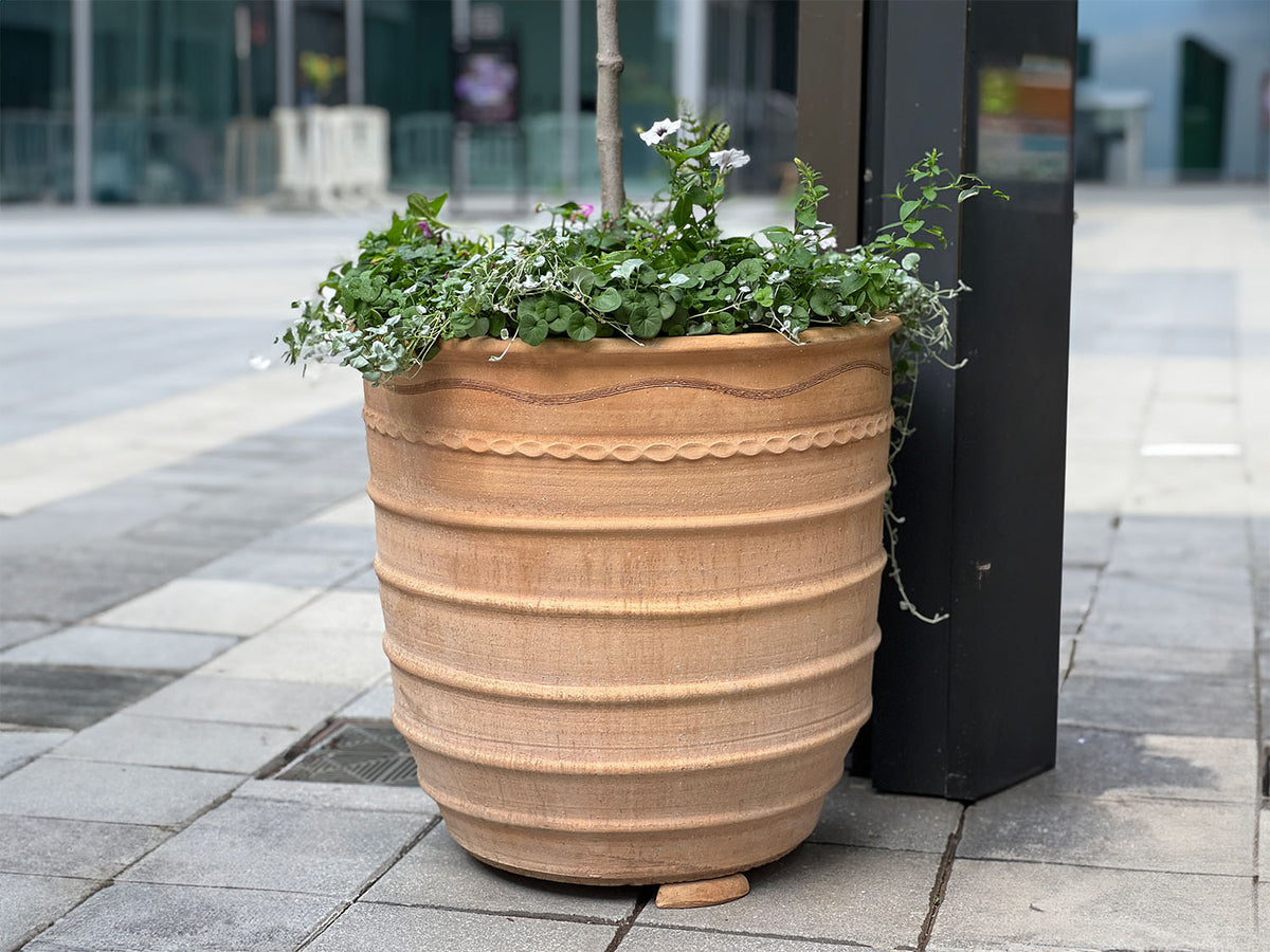 Exara Planter | Handmade Terracotta Planter – PLANTATOREM