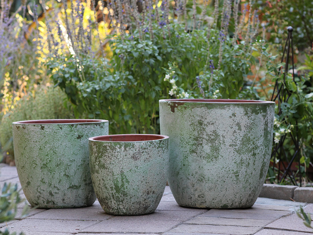 Chelsea Gardener Collection – PLANTATOREM