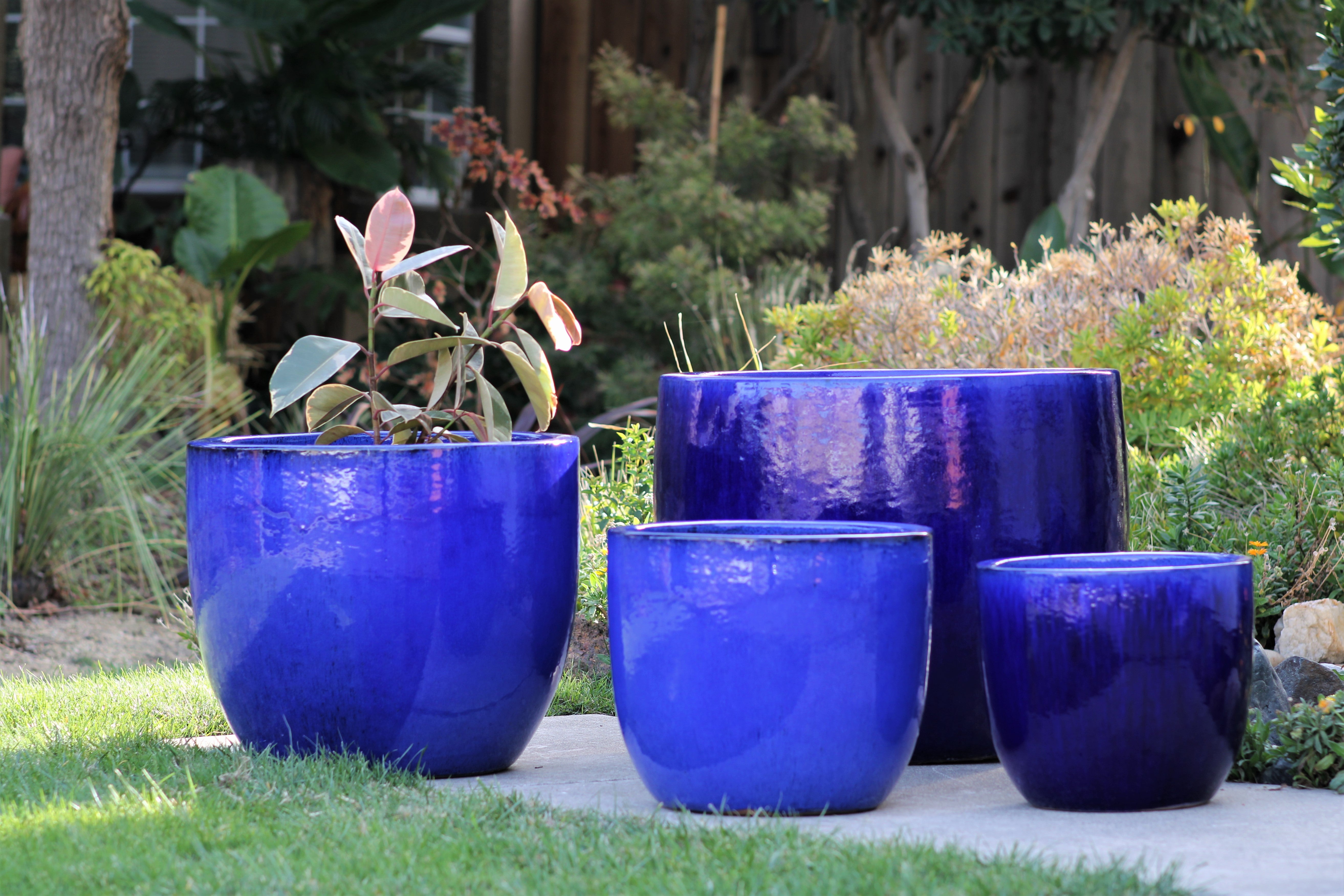 Egg Shell Pots - Set of 4 – PLANTATOREM