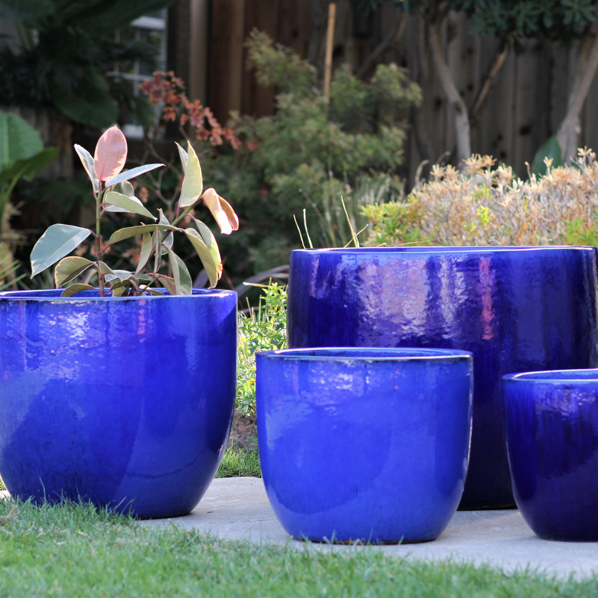 Egg Shell Pots - Set of 4 – PLANTATOREM