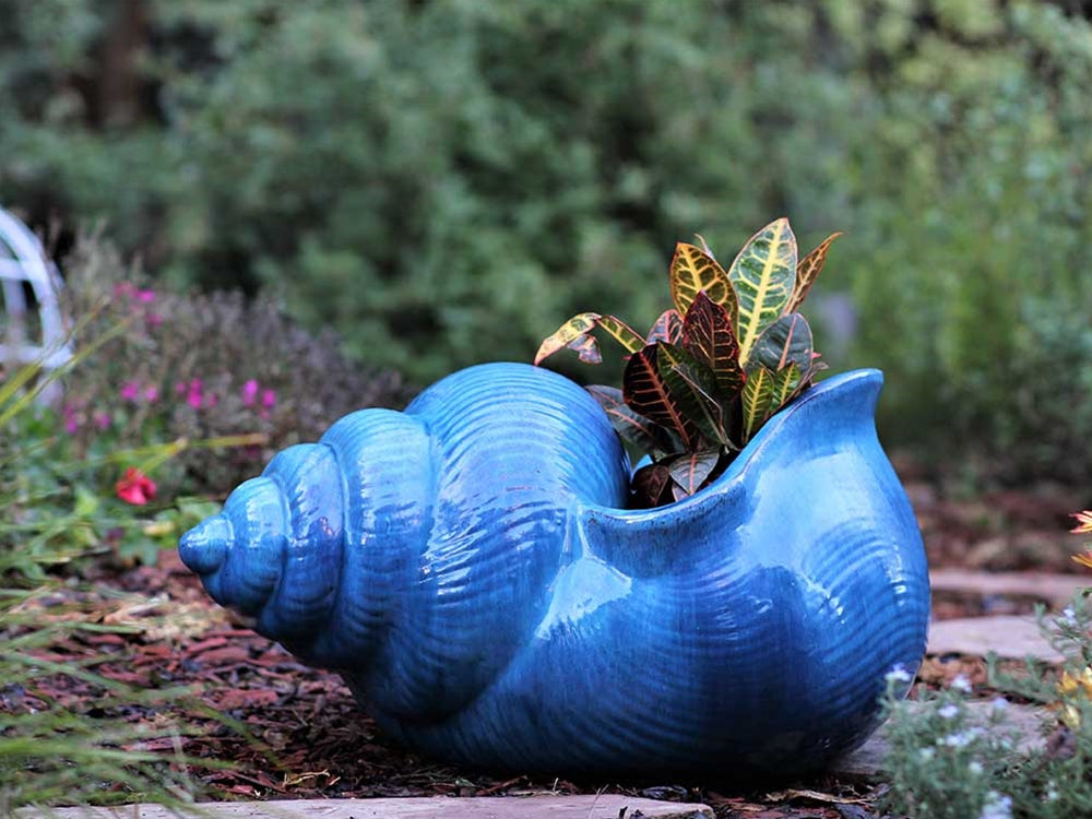 Shell Planter – PLANTATOREM