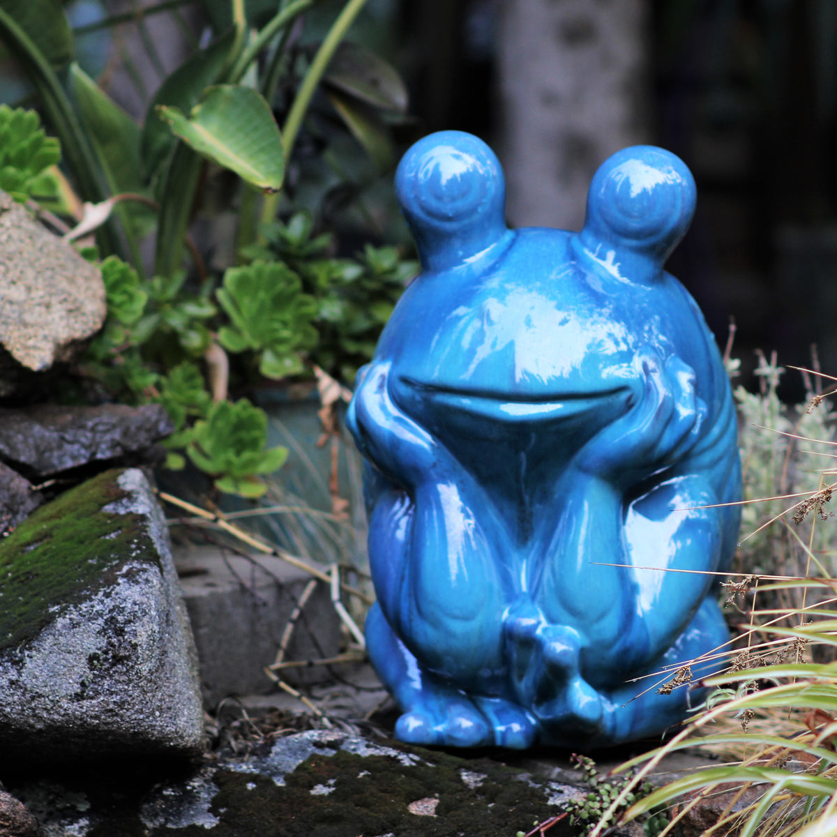 Buy Large Ceramic Frog Statues Online – PLANTATOREM