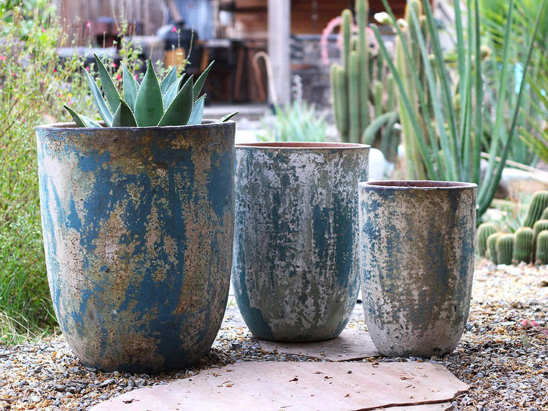 Tuscan Sun Collection – PLANTATOREM