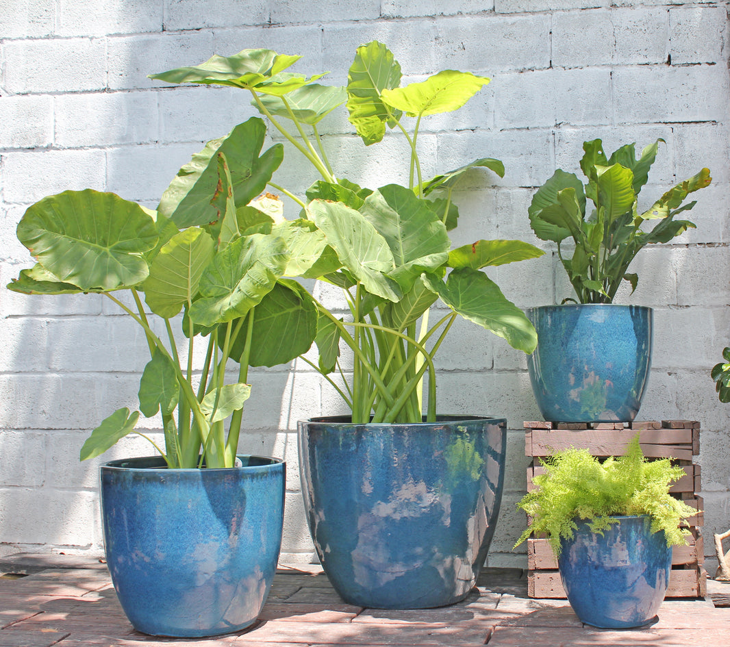 Chelsea Gardener Collection – PLANTATOREM