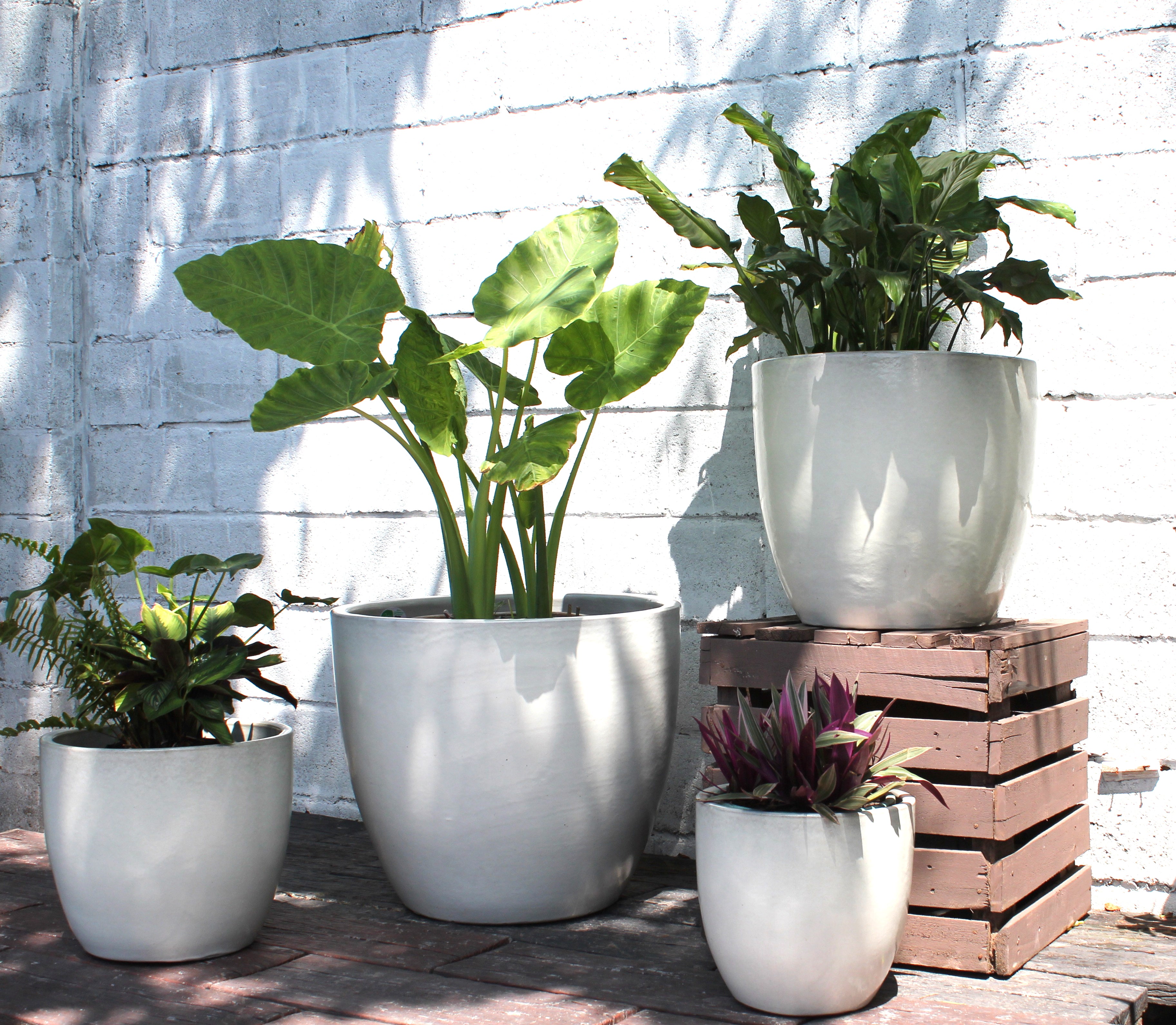 Coco Pots Glazed - Set of 4 – PLANTATOREM